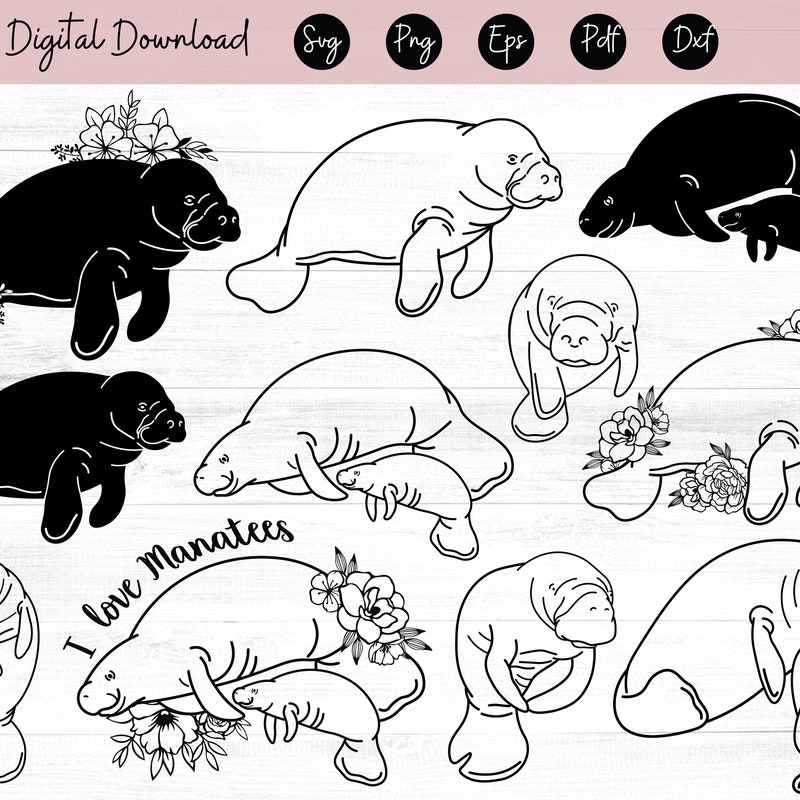 Manatee Svg - Etsy