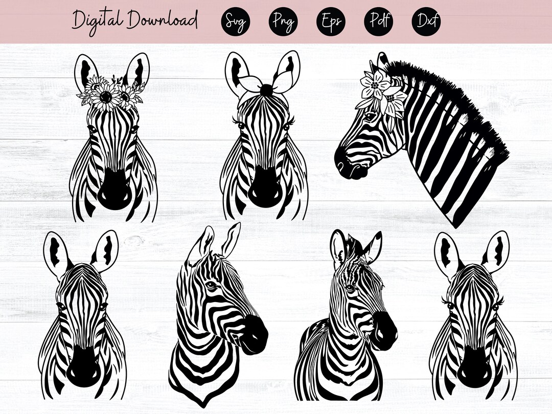 Zebra Vector Set - Zebra SVG, Zebra Clipart, Zebra Files, Zebra ...