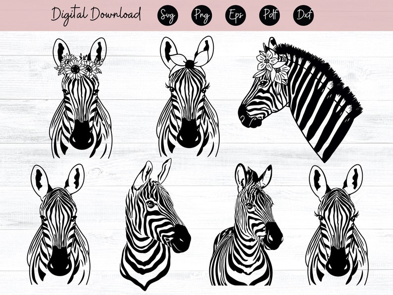 Zebra Vector Set Zebra SVG Zebra Clipart Zebra Files - Etsy