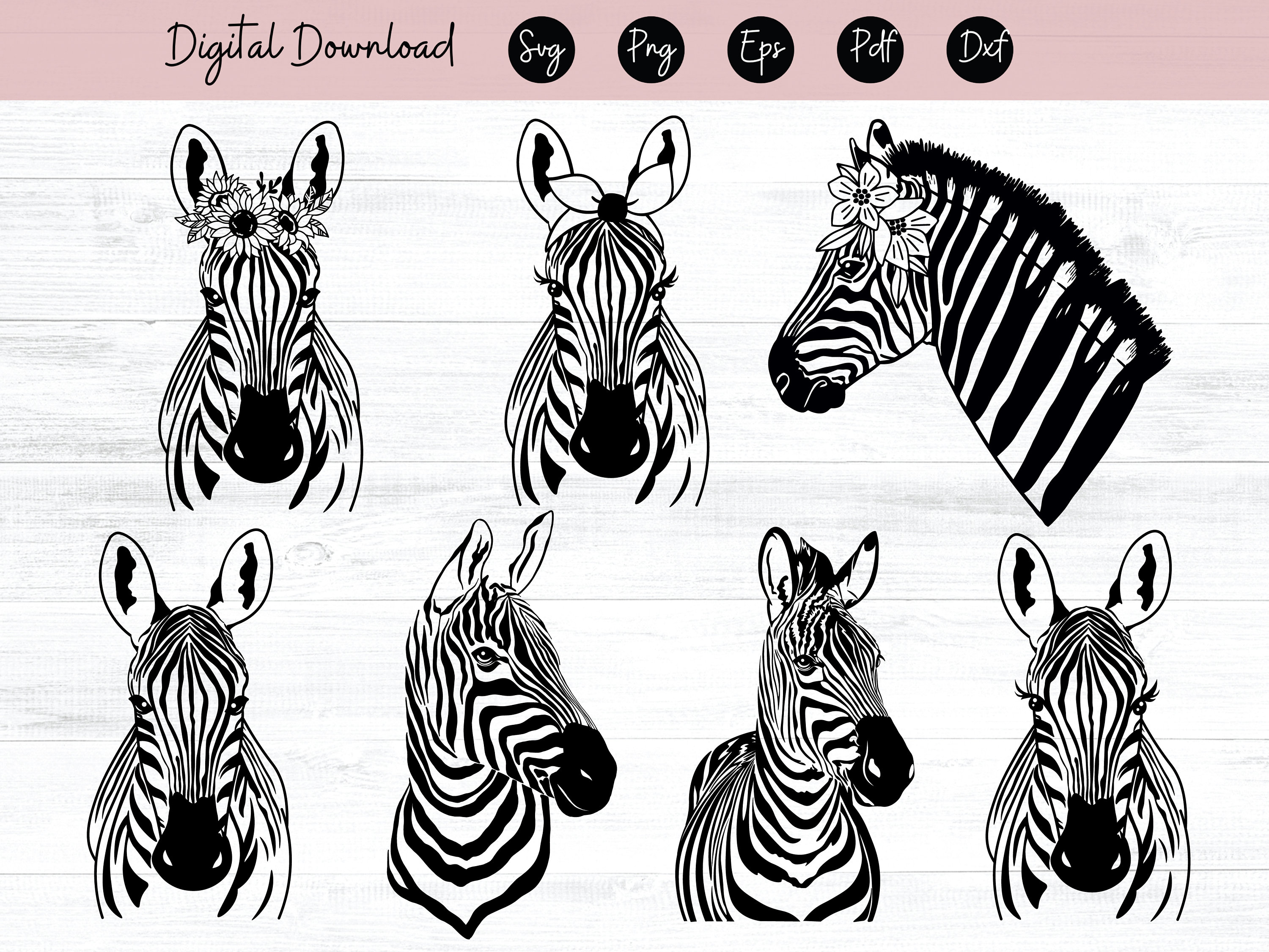 Zebra Vector Set Zebra SVG, Zebra Clipart, Zebra Files, Zebra ...