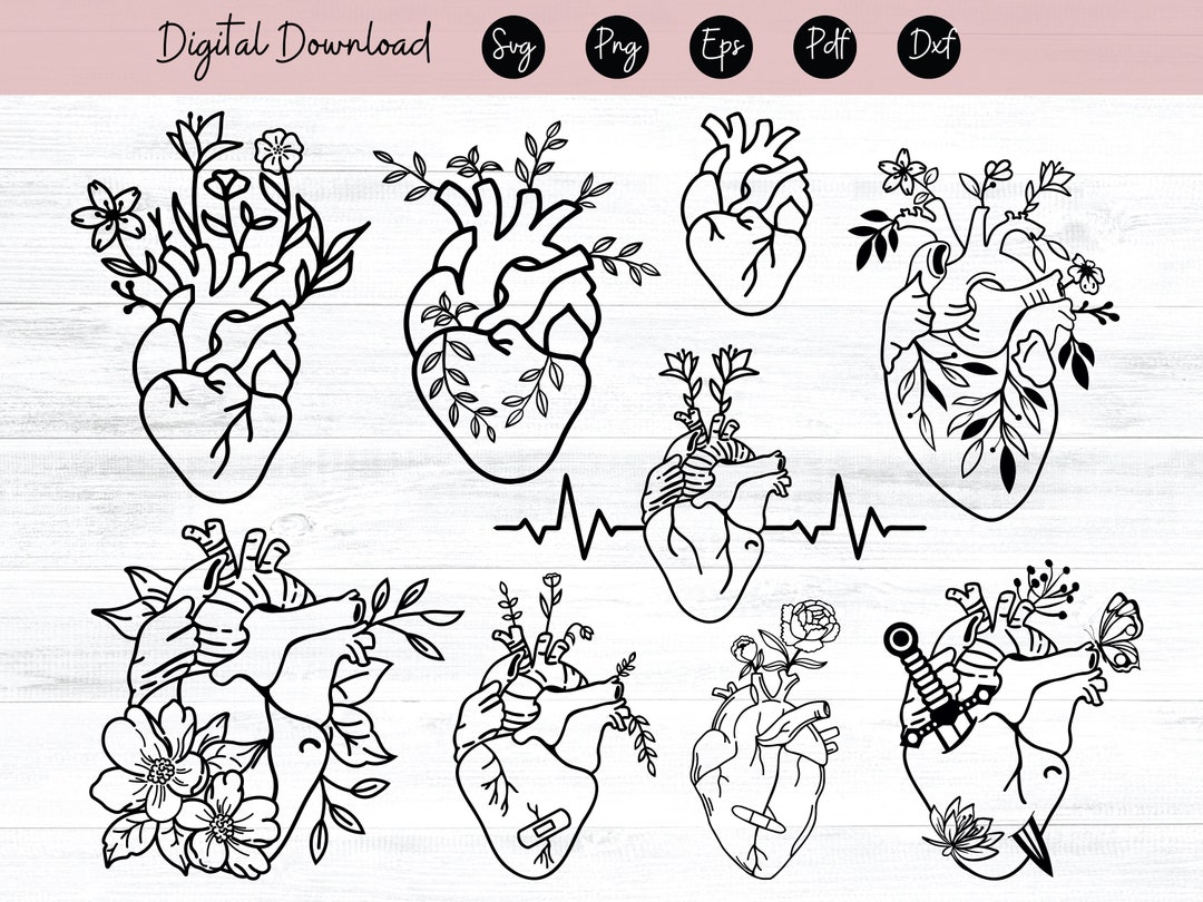 Heart Svg File Anatomical Heart Svg Human Heart Svg Anatomy Svg Floral ...