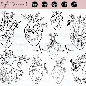 Heart Svg File Anatomical Heart Svg Human Heart Svg Anatomy Svg Floral ...