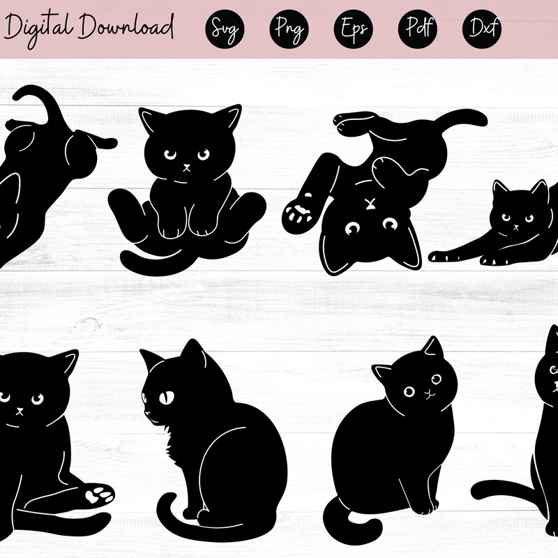 Black Cat Svg - Etsy