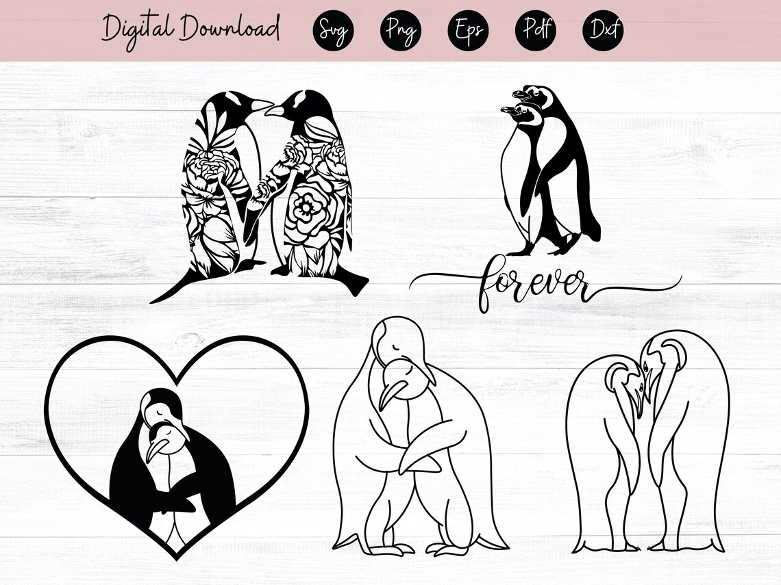 Penguin Couple SVG, Penguin Clipart, Penguin Files for Cricut, Humboldt ...
