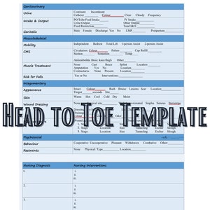 Head to Toe Assessment Template- Nursing Notes - Etsy