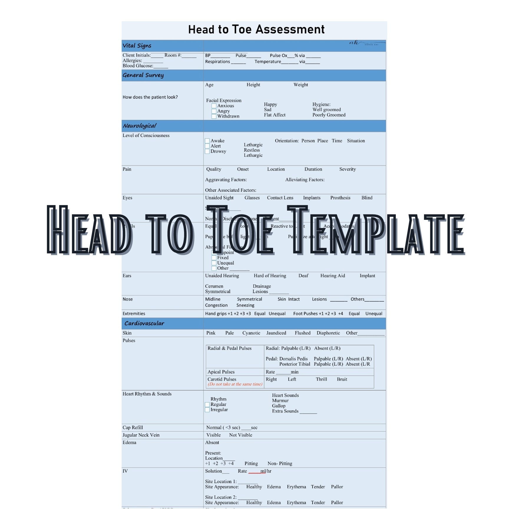 Head to Toe Assessment Template- Nursing Notes - Etsy