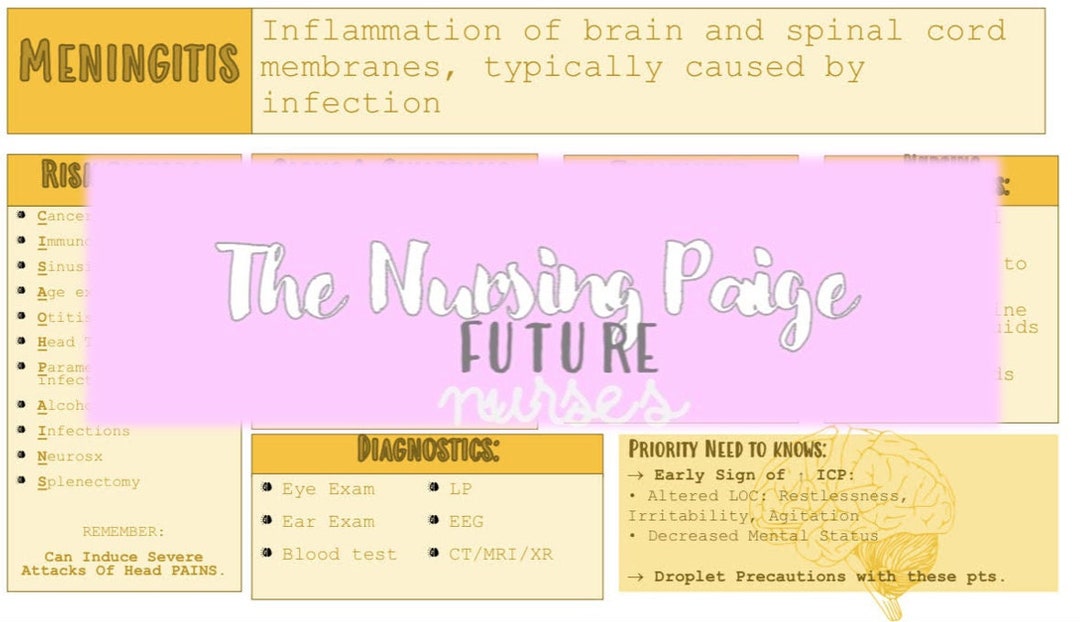 Meningitis Nursing Notes - Etsy