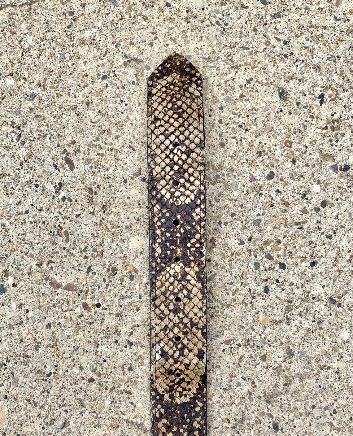 Genuine Rattlesnake Skin Belt - Etsy