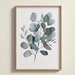 Silver Dollar Eucalyptus, Wall Art Print, Botanical Wall Decor ...