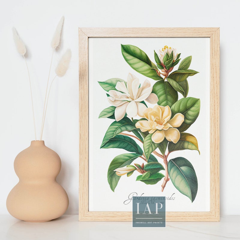 Gardenia Print - Etsy