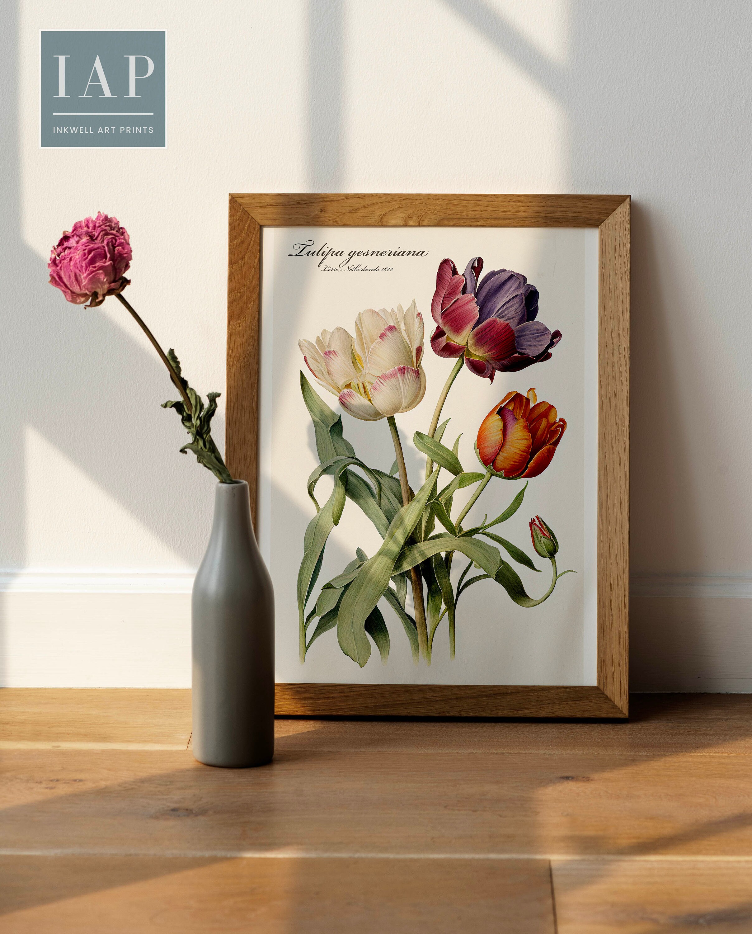 Tulip Botanical Wall Art Digital Print Download Tulip Print ...