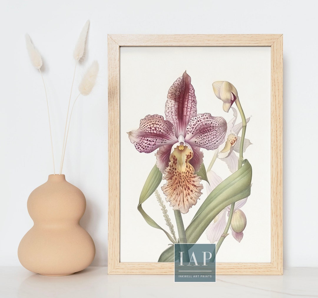 Monkey Orchid Botanical Wall Art | Tropical Floral Print Illustration ...
