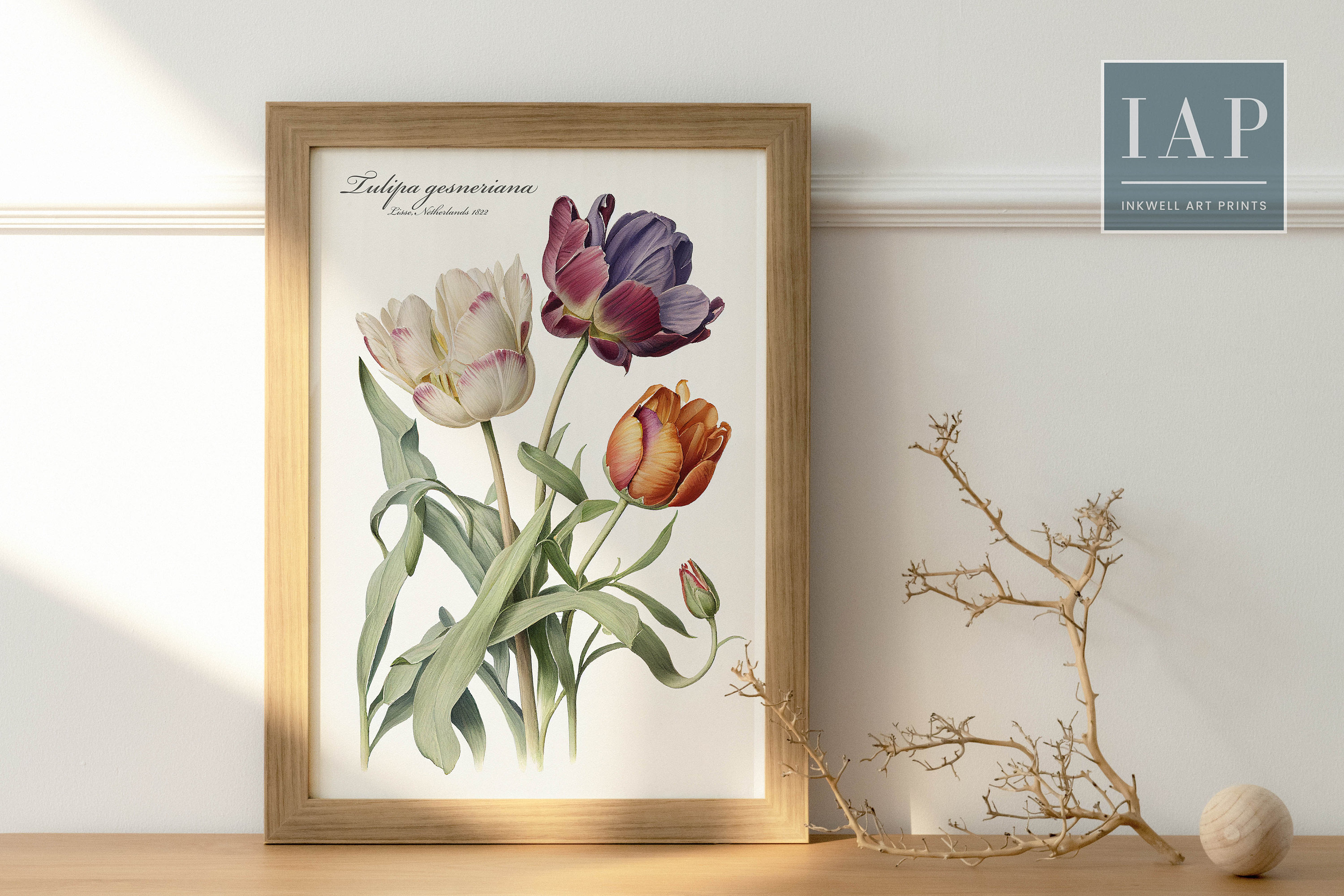 Tulip Botanical Wall Art Digital Print Download Tulip Print ...
