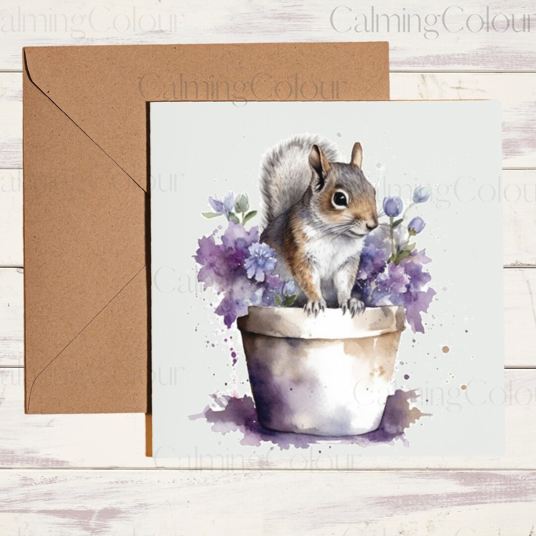 Squirrel Greeting Card Card for Squirrel Lover Single Card, Blank on ...