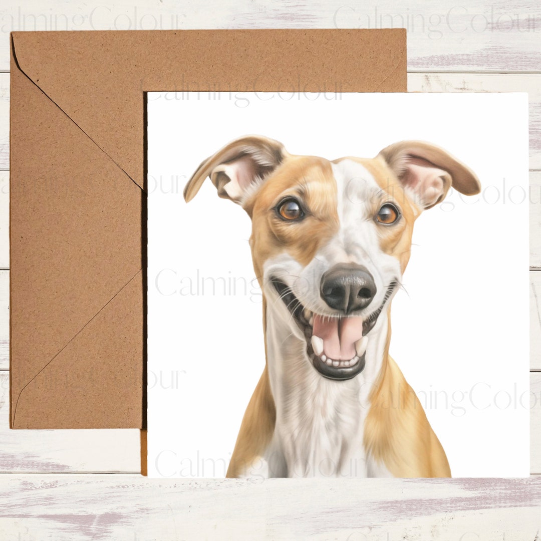 Whippet Greeting Card Birthday Card for Dog Lover Single Card Blank on ...