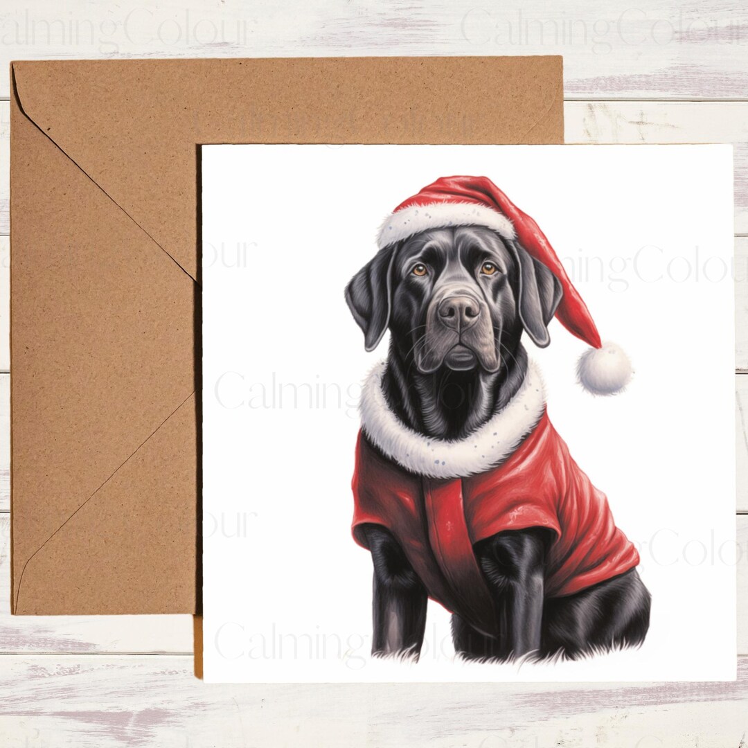Black Labrador Christmas Card Greeting Card for Dog Lover Single Card ...
