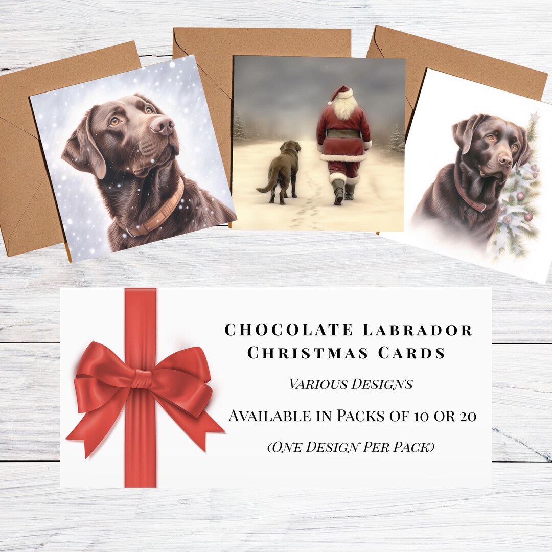 Chocolate Labrador Christmas Cards | Dog Lover Greeting Card Pack (10 ...