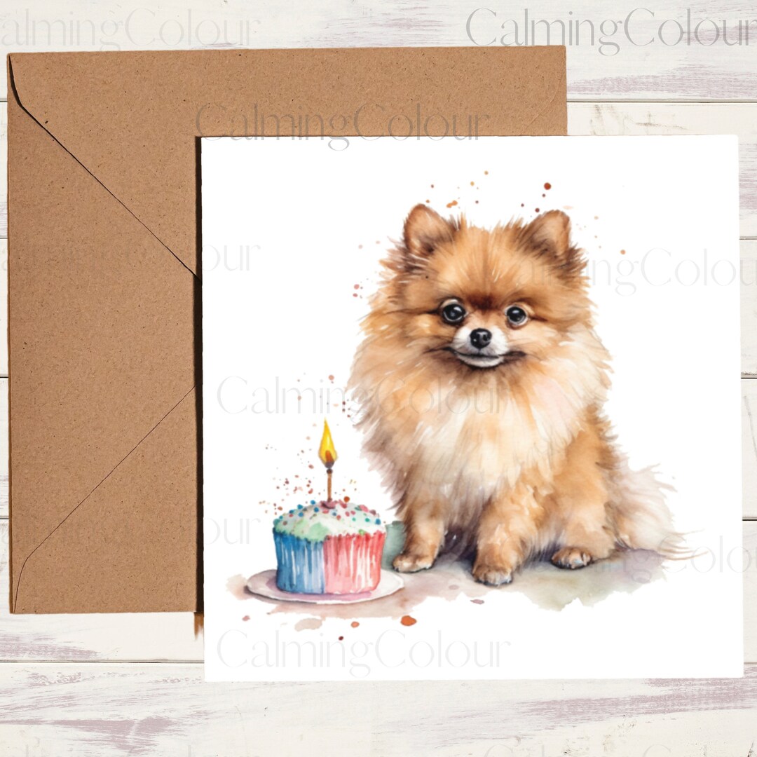 Pomeranian Greeting Card Birthday Card Single Card. - Etsy