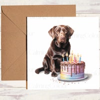 Chocolate Labrador - Etsy