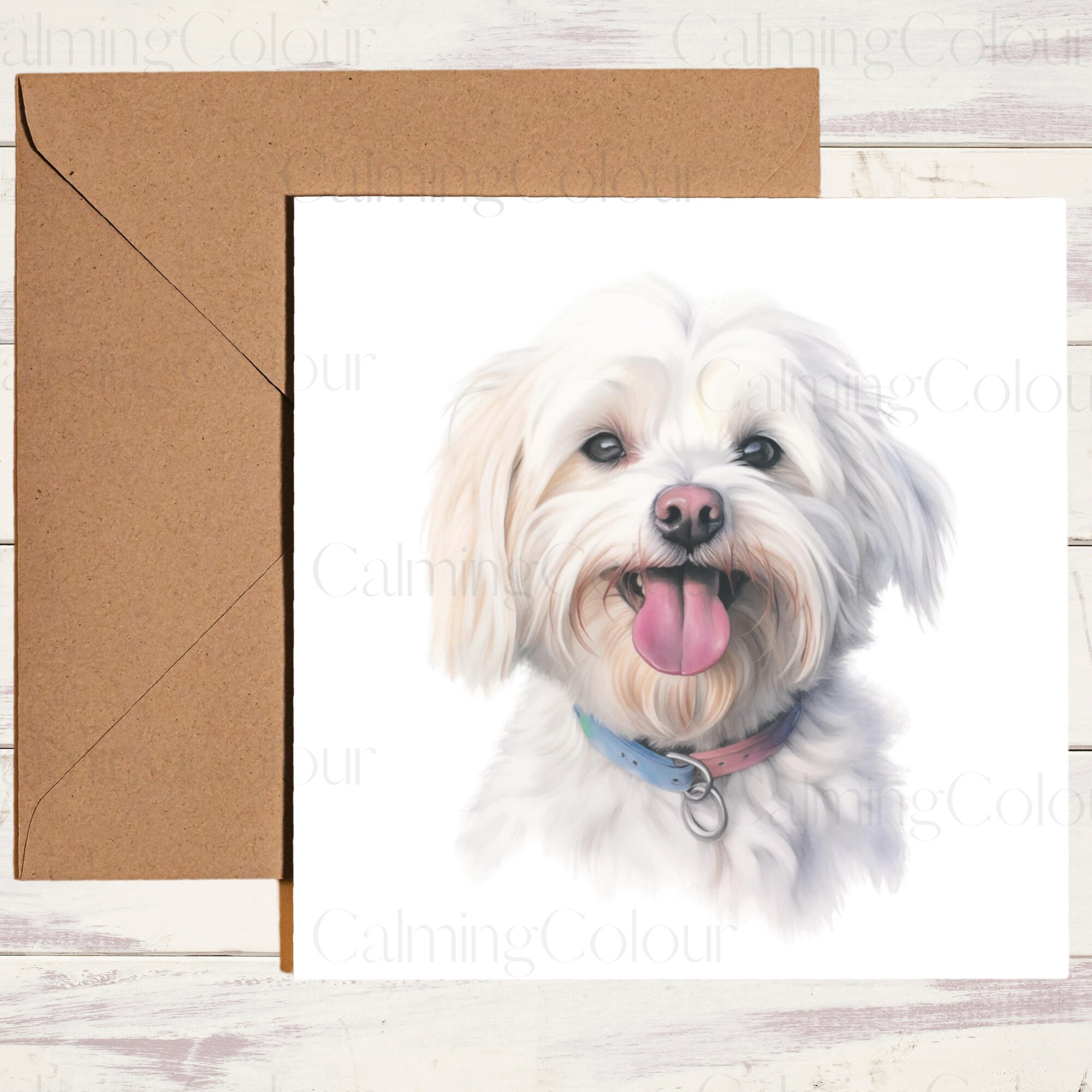 Maltese Greeting Card Single Card, Blank on the Inside. - Etsy