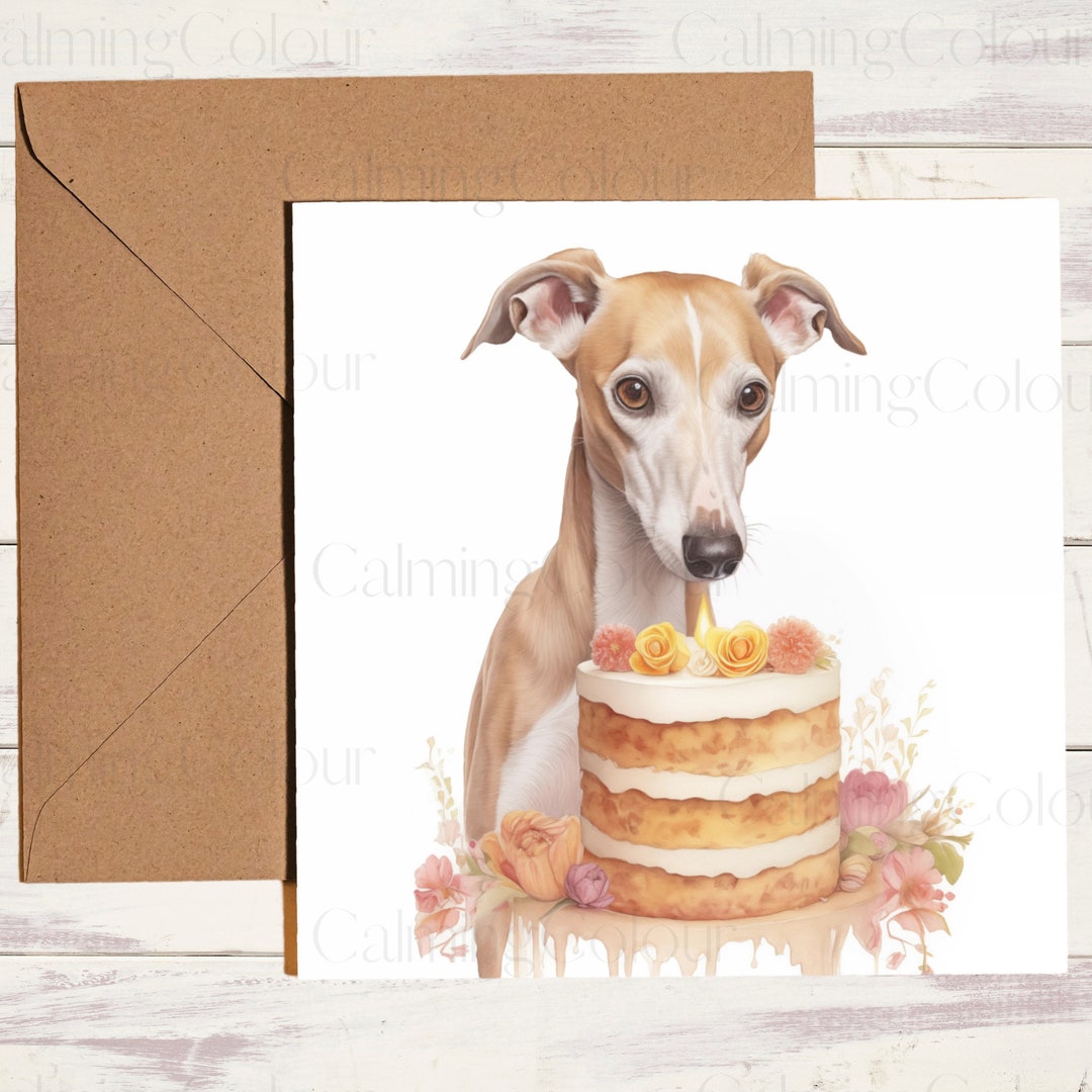 Whippet Birthday Card | Greeting Card for Dog Lover | Single Card Blank ...