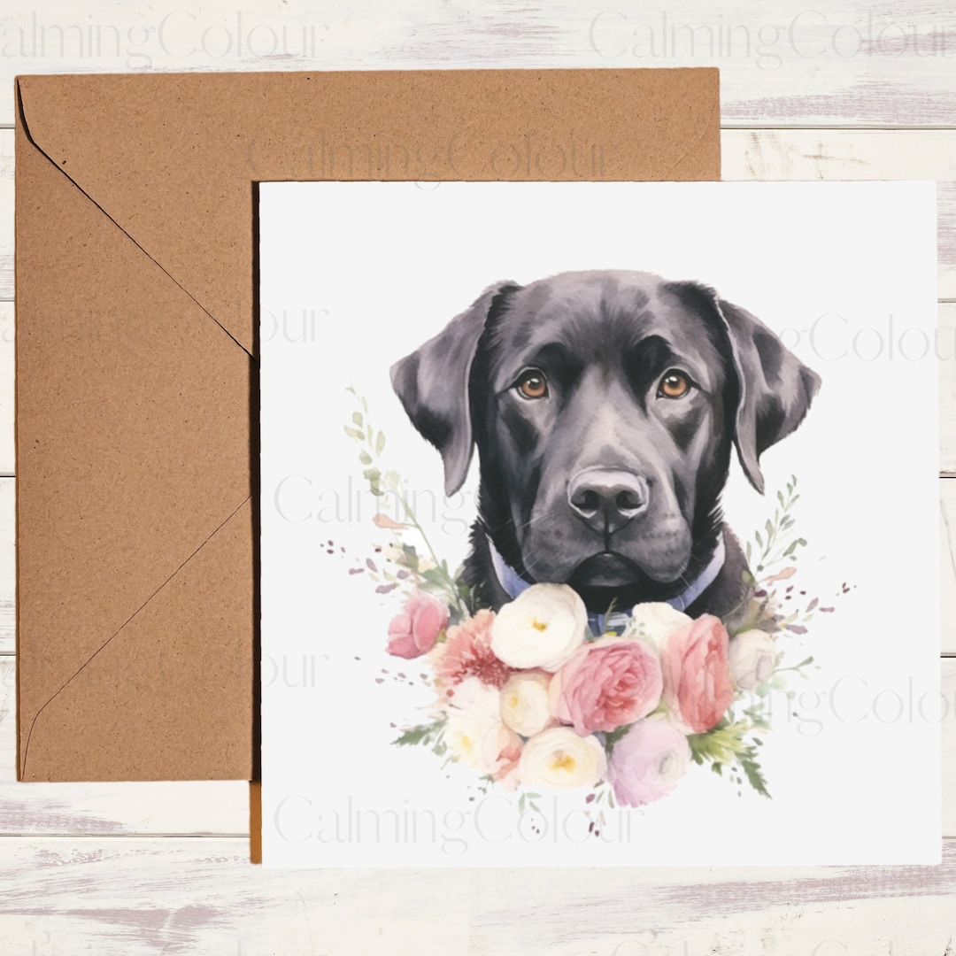 Black Labrador Greeting Card Birthday Card Thank You Card - Etsy
