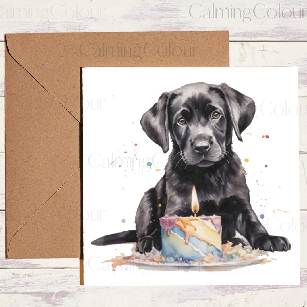 Black Labrador Birthday Card | Greeting Card for Dog Lover | Single ...