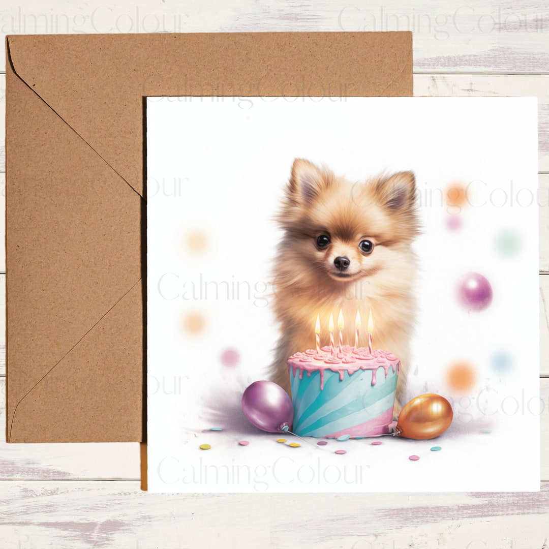 Pomeranian Birthday Card Greeting Card for Dog Lover Single Card Blank ...