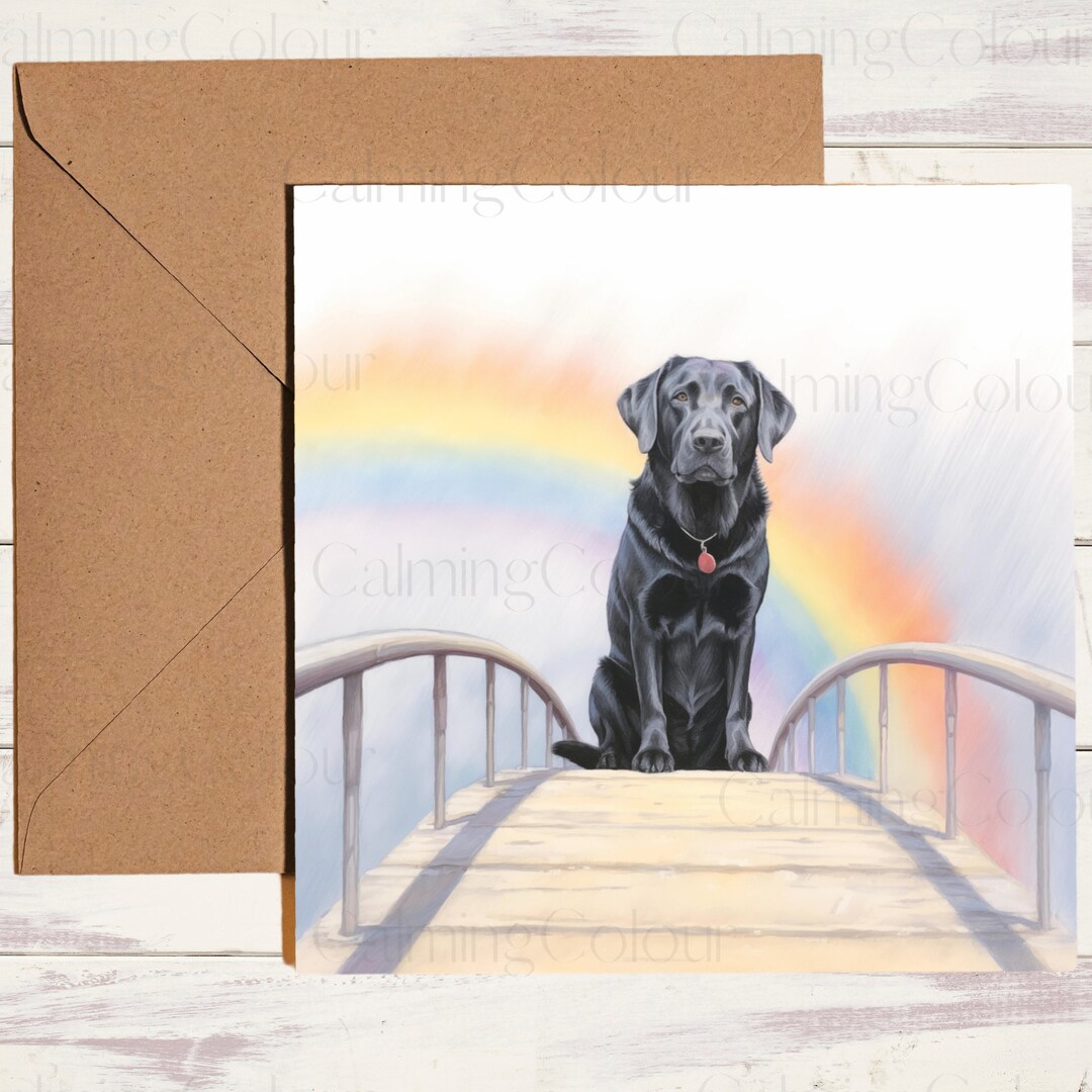 Black Labrador Greeting Card | Remembrance | Rainbow Bridge | Single ...