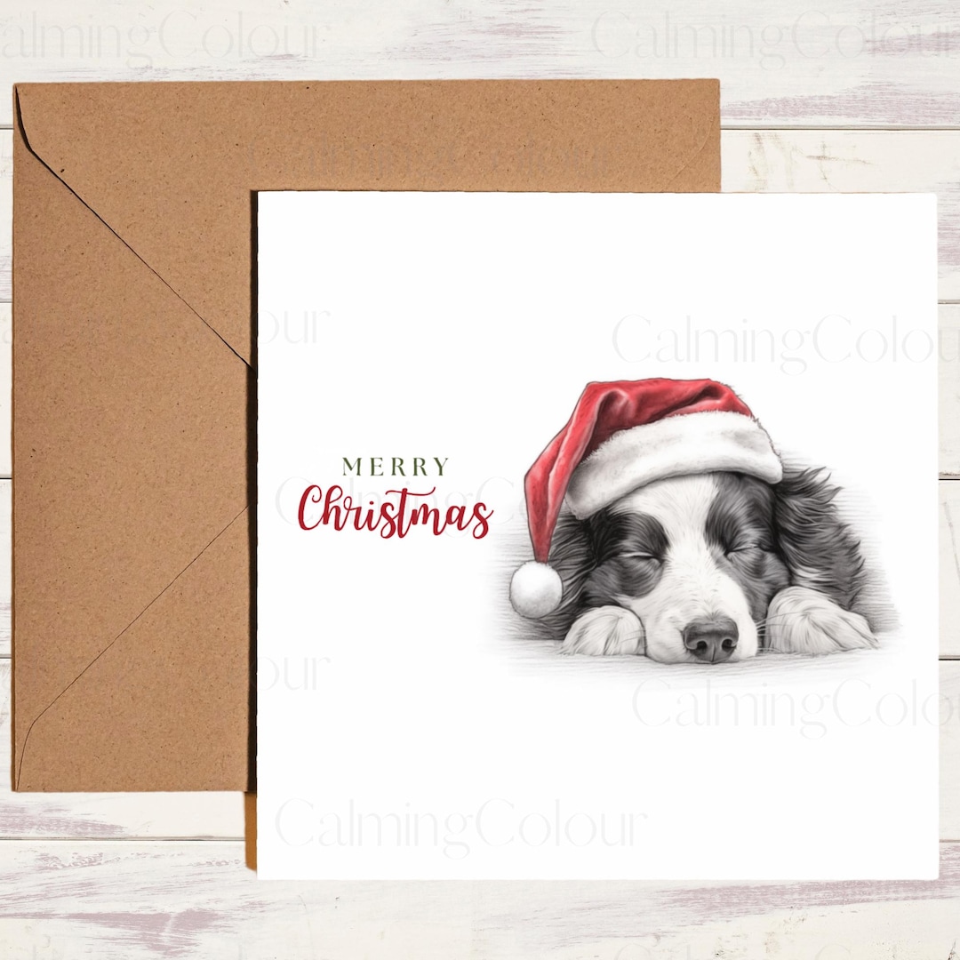 Border Collie Christmas Card Greeting Card for Dog Lover Single Card ...