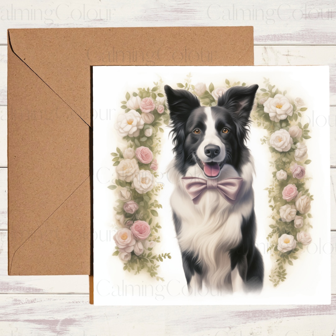 Border Collie Wedding Card | Dog Wedding Card | Single Card - Etsy