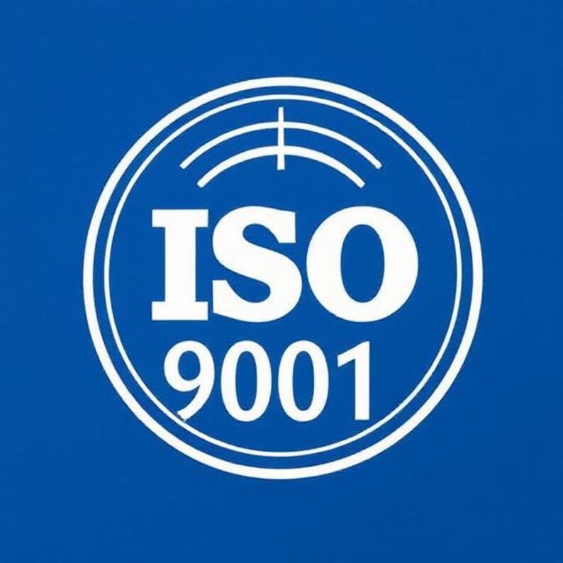 BSI QMS ISO 9001:2015 Quality Management Systems Standard, Digital Copy ...