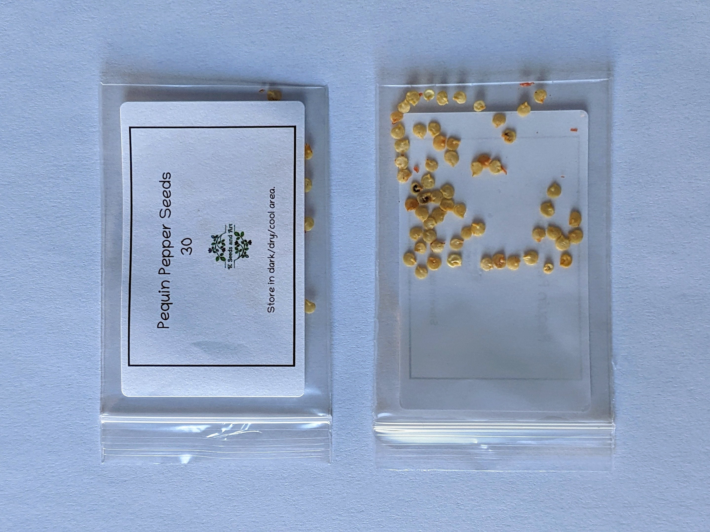 Pequin Pepper Seeds, Piquin, Chile, Small Hot Chilli Pepper, 30 Seeds ...