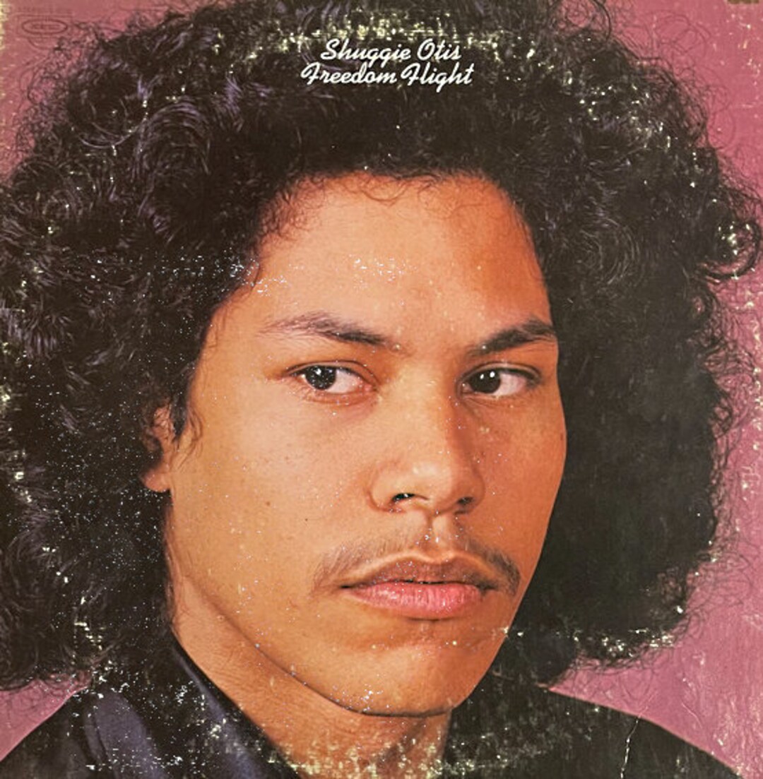 Shuggie Otis '70s Album Cover Tee - Retro Music Lover T-shirt - Etsy
