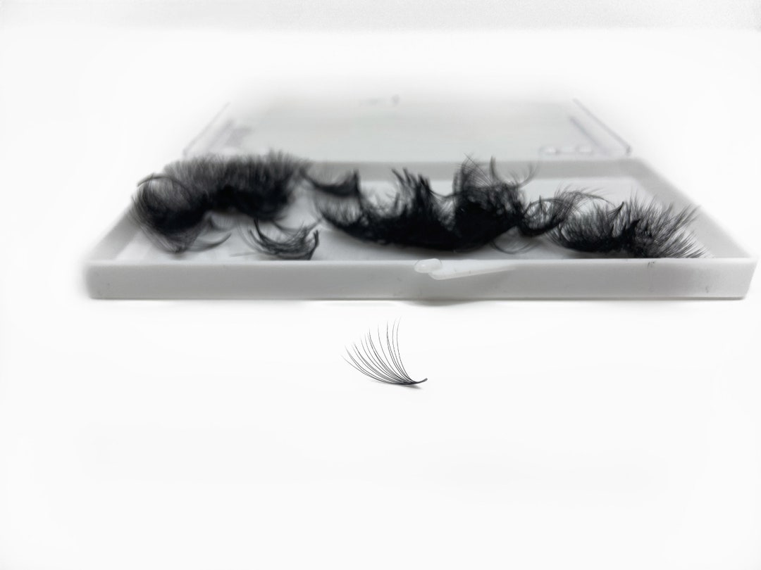 Pre Made Mega Russian Volume Fans 500pc/tray - Etsy