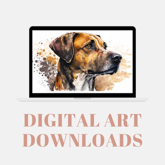 Are Cur Dogs Hypoallergenic