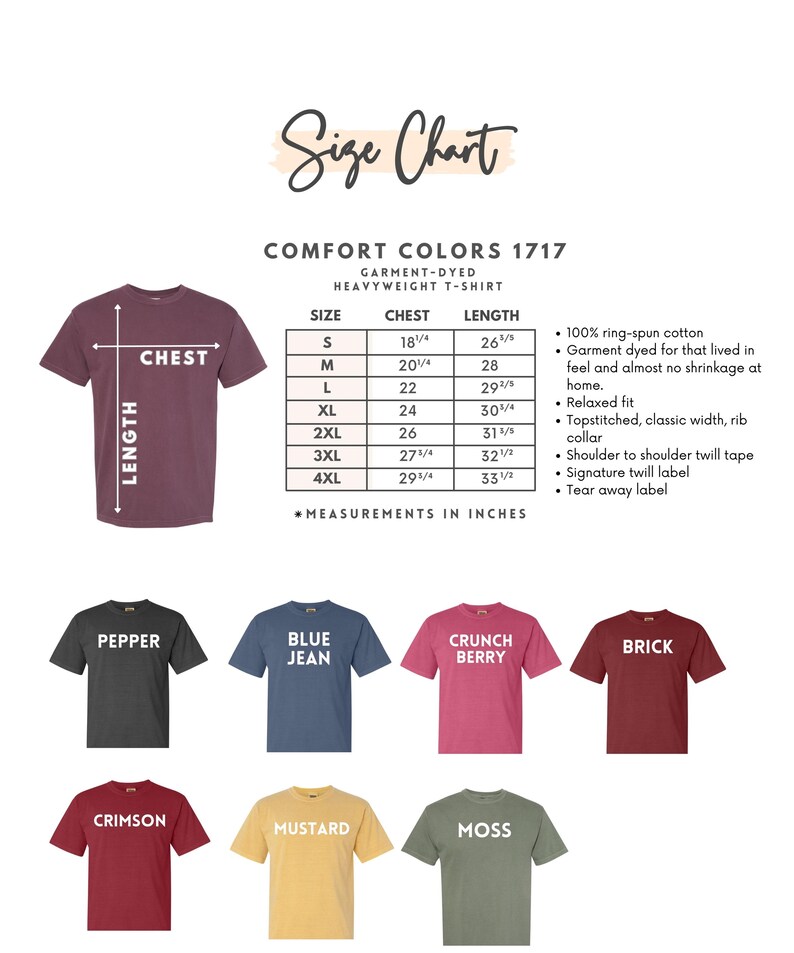 100 Day of School Shirt Comfort Colors Unisex Tee Teacher Classroom ...