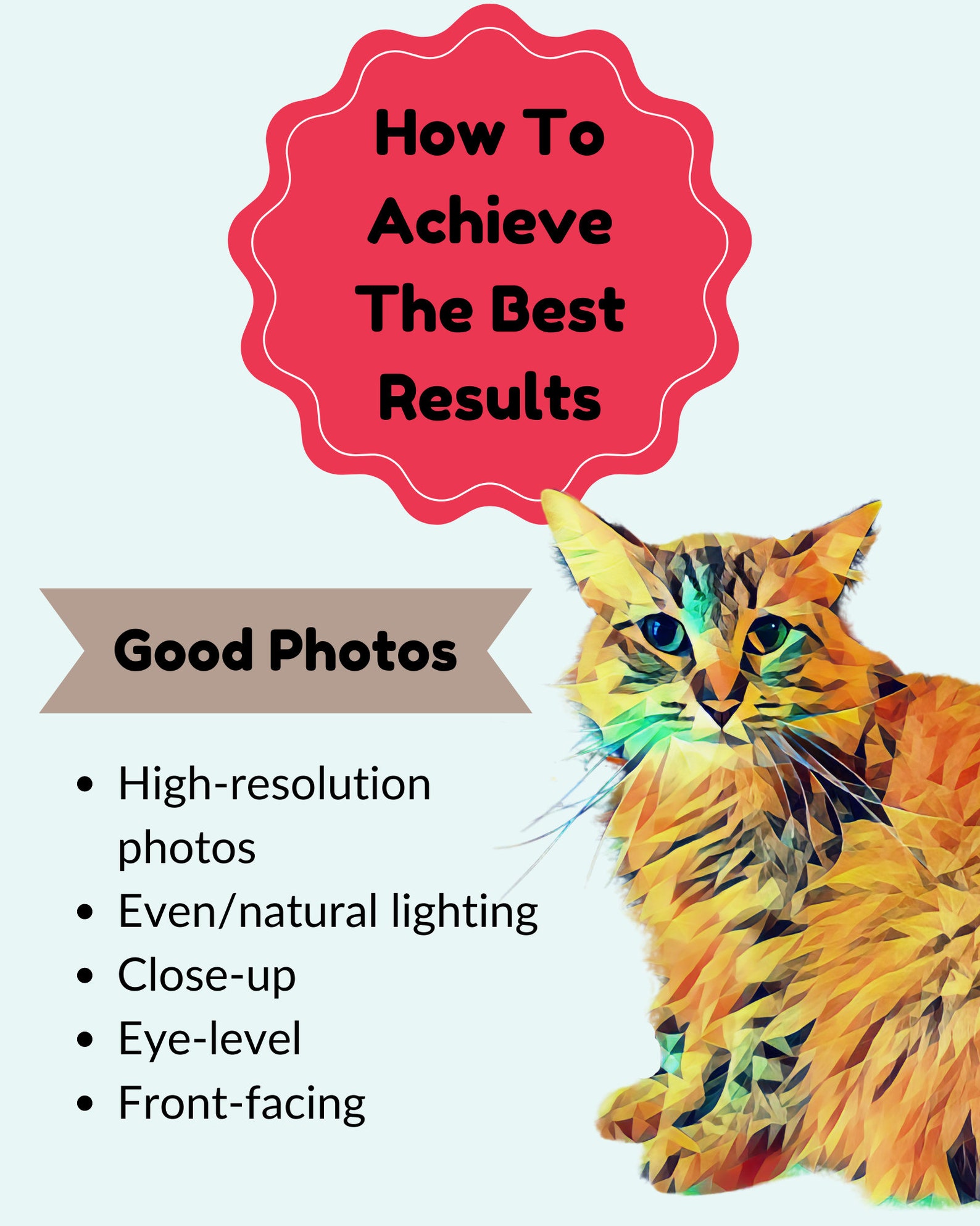 Custom Pet Portrait From Photo, Personalized Pet Illustration, Poly Art ...