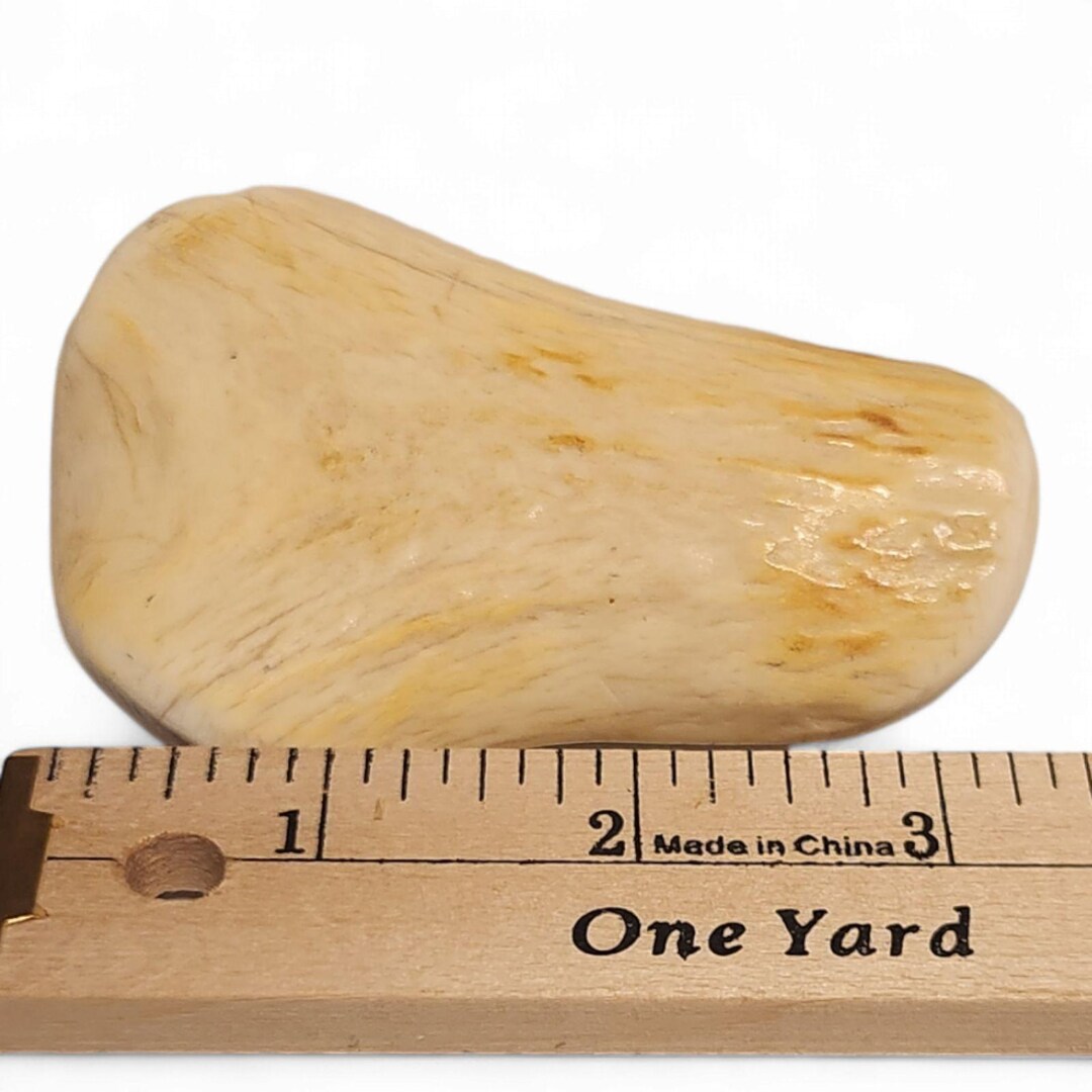 Vintage Deer Antler Belt Buckle, Hand-carved - Etsy