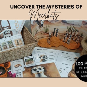 Animal Homeschool Study Meerkat Unit Study African Animals Safari ...