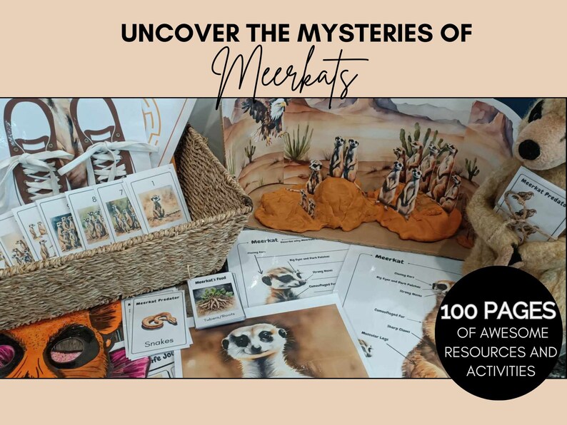 Animal Homeschool Study Meerkat Unit Study African Animals Safari ...