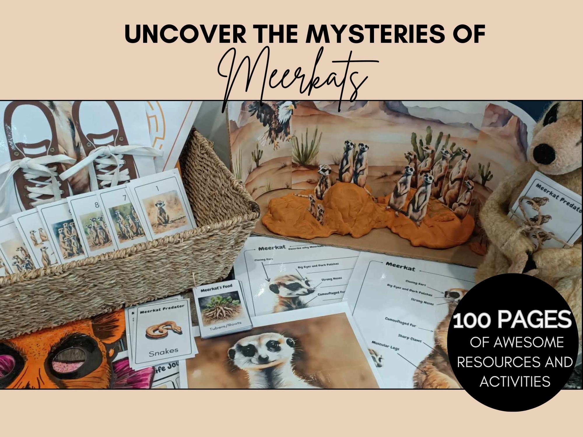 Animal Homeschool Study Meerkat Unit Study African Animals Safari ...