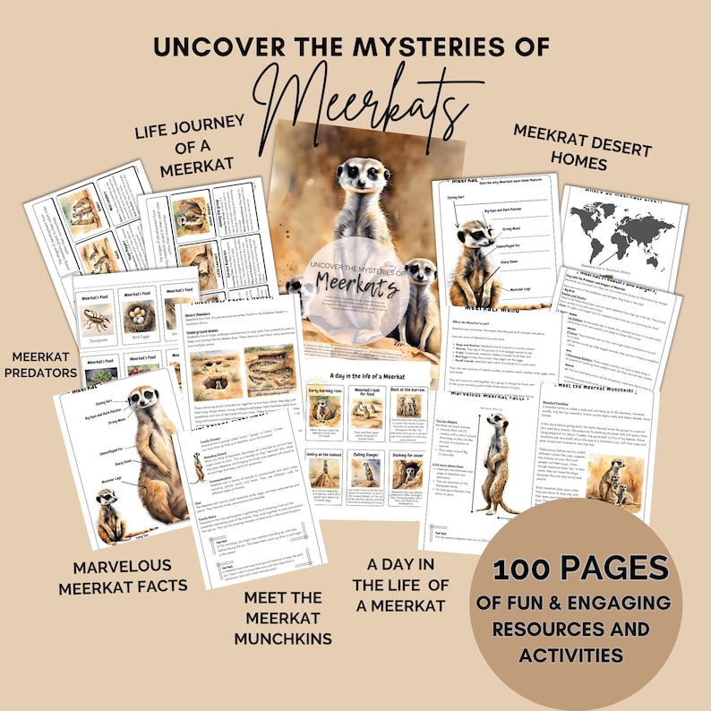Animal Homeschool Study Meerkat Unit Study African Animals Safari ...