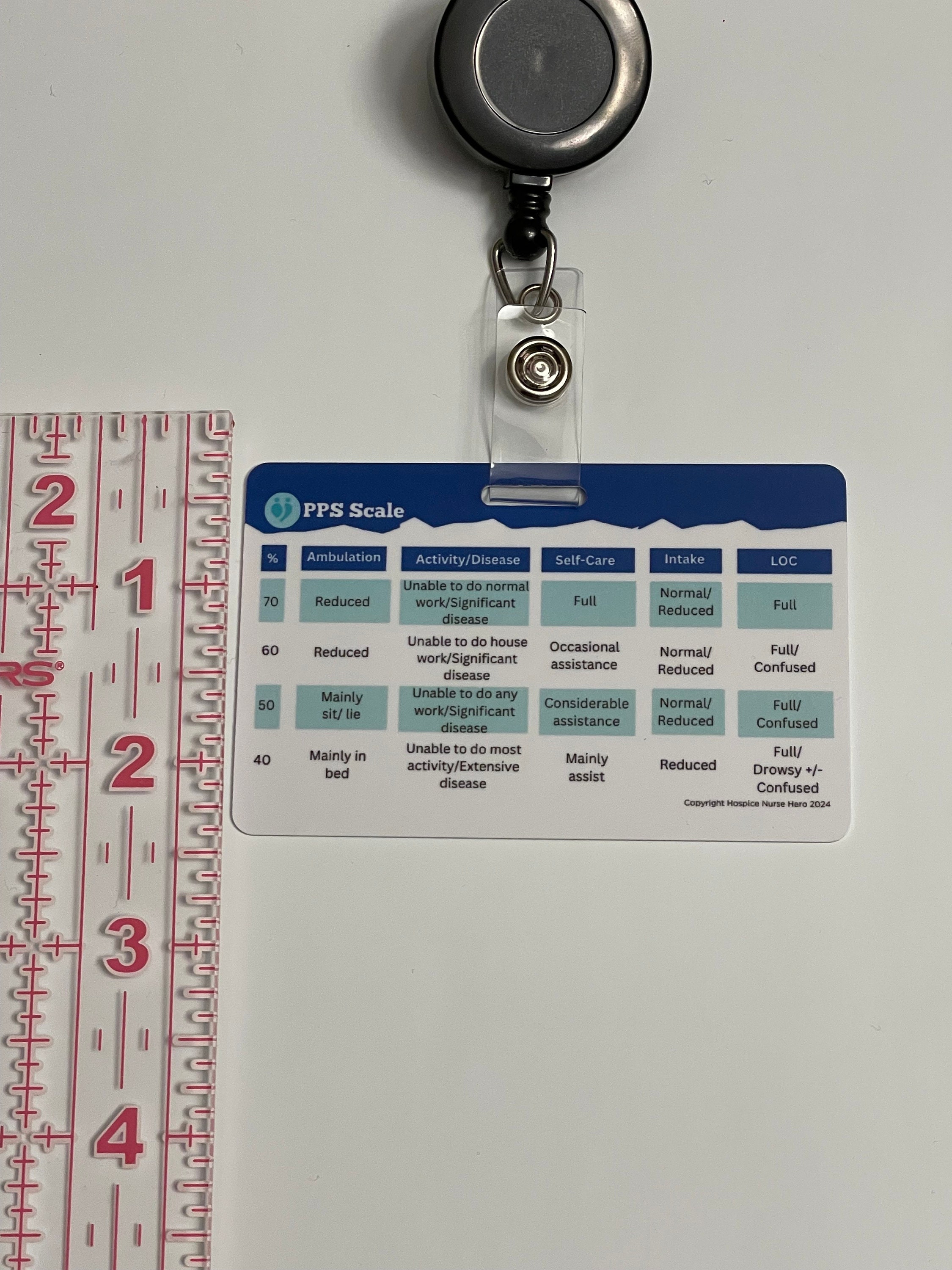 PPS Reference Card for Hospice Nurses, Palliative Performance Scale ...