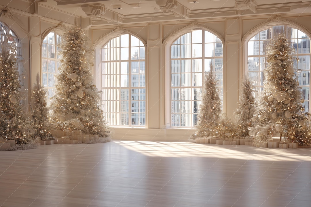 Elegant Ballroom Christmas Backdrop | Luxury Winter Reception Hall ...