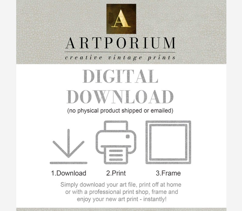 Vintage Portrait Man Albert Einstein Print Antique - Etsy