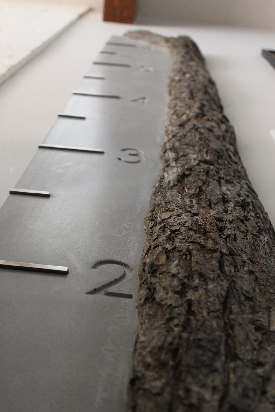 Concrete Growth Chart Real Tree Casting With Solid Stainless or Brass ...