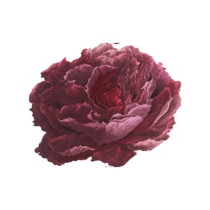 Floral Flower Art Minimalist Melting Flower Poster Print Made to Order ...