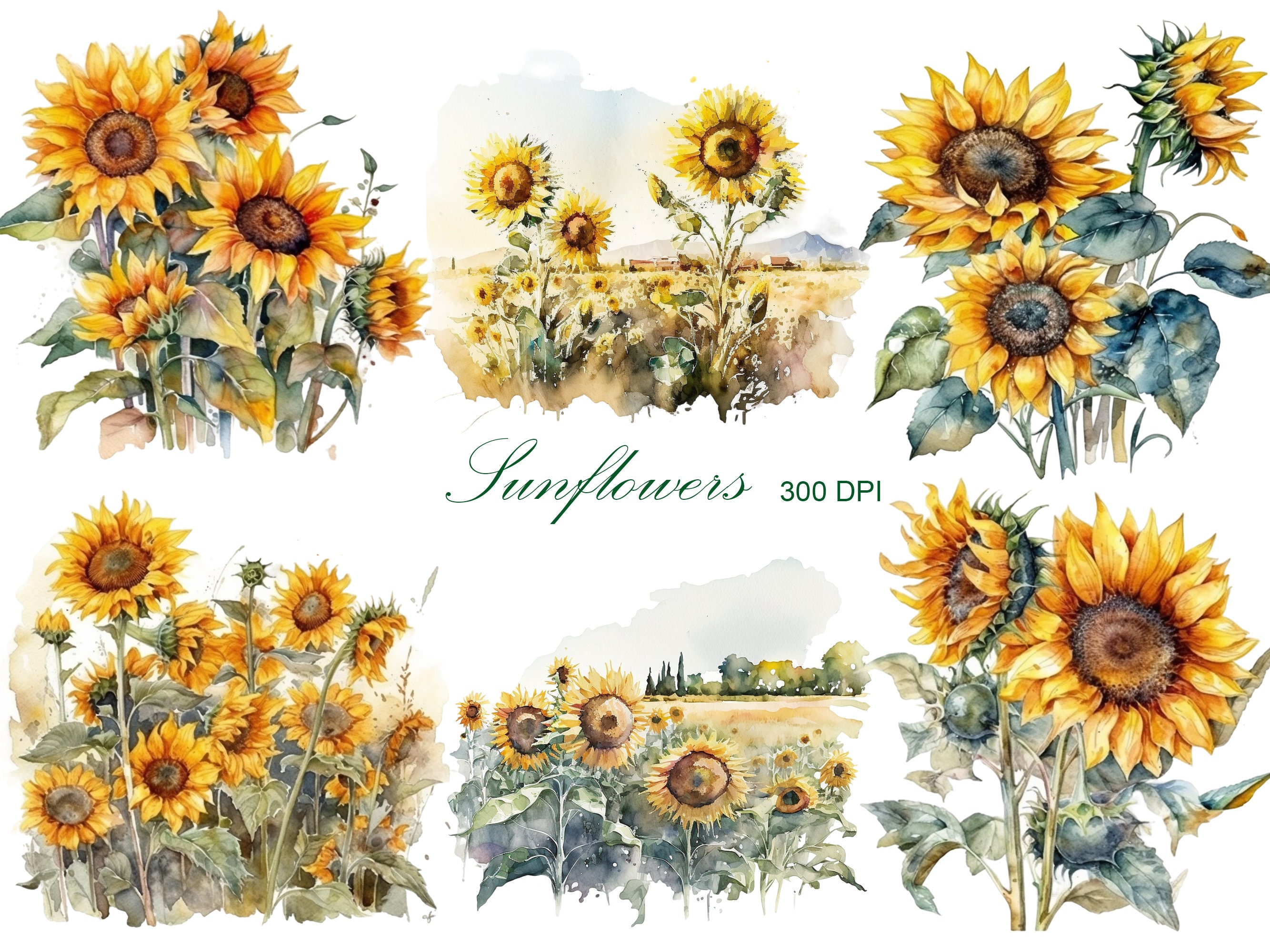 Watercolor Sunflower Clipart, Commercial Use Clipart, Sunflowers Field ...