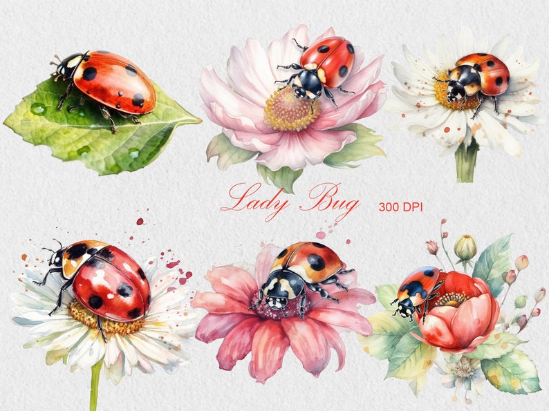 Watercolor Ladybug Clipart, Commercial Use Lady Bug PNG, Insect Clipart ...